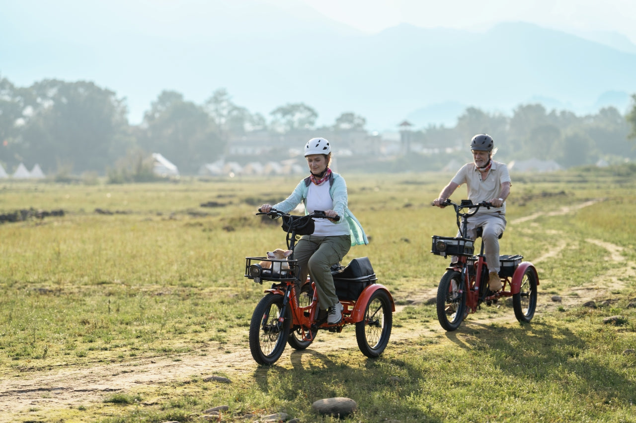 Understanding Electric Trike Tire Pressure: Key Tips